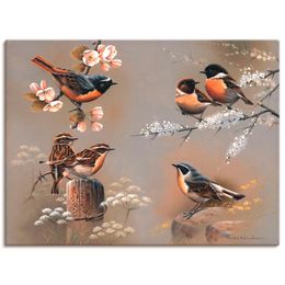 Artland Leinwandbild &raquo;Vogel Komposition&laquo; V&ouml;gel 1 Stk. tlg. auf Holzrahmen gespannt braun Leinwand B/H/T: 60cm x 45cm, Leinwandbild V&ouml;gel Querformat, 1 Stk.