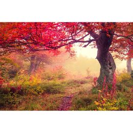 papermoon Fototapete &raquo;Autumn Trees&laquo; glatt bunt Vlies B/L: 2,5m x 1,86m, Bahnen: 5 Stk.