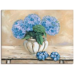 Artland Leinwandbild &raquo;Blaue Hortensien&laquo; Blumen 1 Stk. tlg. auf Holzrahmen gespannt beige Leinwand B/H/T: 40cm x 30cm, Leinwandbild Blumen Querformat, 1 Stk.