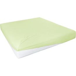 Primera Spannbettlaken &raquo;Elasthan-Feinjersey&laquo; PREMIUM, aus 95% gek&auml;mmter Baumwolle und 5% Elasthan, bis 28 cm H&ouml;he gr&uuml;n Jersey-Elasthan, Obermaterial: 95% 