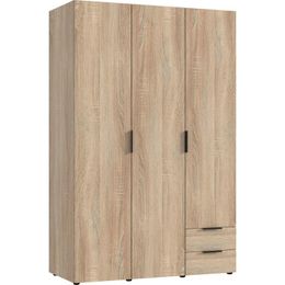 wimex Kleiderschrank &raquo;Modena&laquo; Dreht&uuml;ren-Schrankprogramm braun Holzwerkstoff Eiche S&auml;gerau Nachbildung, B/H/T: 120cm x 185cm x 54cm