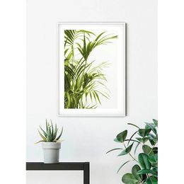 Komar Bild &raquo;Reed Leaves&laquo; Bl&auml;tter Pflanzen 1 Stk. tlg. Wandbild zur Dekoration - ohne Rahmen bunt Holz, Papier B/H/T: 40cm x 50cm, Bl&auml;tter Pflanzen, 1 Stk.