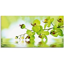 Artland Glasbild &raquo;Sch&ouml;ne Orchidee mit gr&uuml;nem Hintergrund&laquo; Blumen 1 Stk. tlg. in verschiedenen Gr&ouml;&szlig;en gr&uuml;n B/H/T: 100cm x 50cm, Glasbild Blumen, 1 Stk.