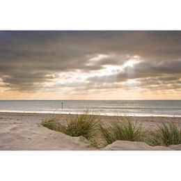 papermoon Fototapete &raquo;Dunes in Winter&laquo; glatt bunt Vlies B/L: 5m x 2,8m, Bahnen: 10 Stk.