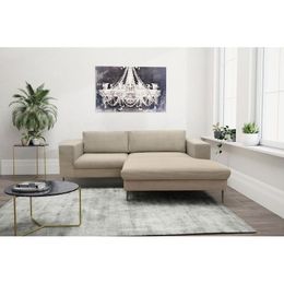 DOMO collection Ecksofa &raquo;Modica kompakt und elegant, Breite 244, L-Form&laquo; Auch in Cord, Fu&szlig;h&ouml;he passend f&uuml;r g&auml;ngige Saugroboter! braun 100% Polyester B