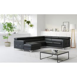COTTA Wohnlandschaft &raquo;Sammy U-Form, B: 304 cm&laquo; Kopfteilverstellung, optional Schlaffunktion & Bettkasten schwarz NaturLEDER , die R&uuml;ckseite ist mit 