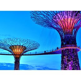 papermoon Fototapete &raquo;Singapore Bay Supertrees&laquo; glatt bunt Vlies B/L: 2m x 1,49m, Bahnen: 4 Stk.