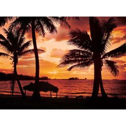 papermoon Fototapete &raquo;Palm Beach at Dusk&laquo; glatt bunt Vlies B/L: 2,5m x 1,86m, Bahnen: 5 Stk.