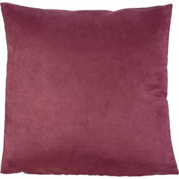 G&ouml;zze Dekokissen &raquo;Alcatraz&laquo; in Wildlederoptik rosa Obermaterial: 100% Polyester B/L: 50cm x 50cm, 2 Stk.