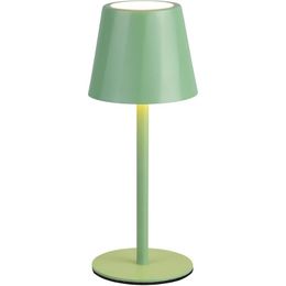 REALITY LEUCHTEN LED Tischleuchte &raquo;DIAZ, Outdoor Akku Tischlampe H&ouml;he 21 cm &Oslash; 8,5 cm, IP44, Touchdimmer&laquo; LED-Board 1 Stk. Farbwechsler warmwei&szlig; - 
