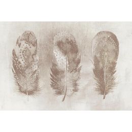 ARCHITECTS PAPER Fototapete &raquo;Atelier 47 Motley Feather 1&laquo; mehrfarbig glatt Vlies, Wand, Schr&auml;ge, Decke rosa Vlies B/L: 4m x 2,7m