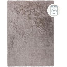 FLAIR RUGS Hochflor-Teppich &raquo;Alpine Faux Fur&laquo; rechteckig 35 mm H&ouml;he waschbarer Kunstpelzteppich. Wohnzimmer, Schlafzimmer grau Kunstfaser B : 160cm 1 
