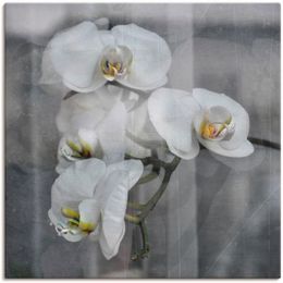 Artland Leinwandbild &raquo;Weisse Orchideen - white Orchid&laquo; Blumen 1 Stk. tlg. auf Holzrahmen gespannt schwarz Leinwand B/H/T: 40cm x 40cm, Leinwandbild Blumen 