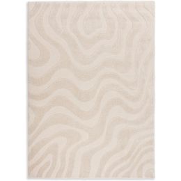 Sch&ouml;ner Wohnen Kollektion SCH&Ouml;NER WOHNEN-Kollektion Teppich &raquo;Blaze 251&laquo; rechteckig 28 mm H&ouml;he Indoor, pflegeleicht, verschiedene Formen, Hoch Tief Struktur Polyester B : 80cm 1