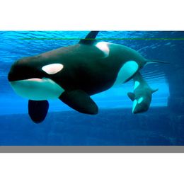 papermoon Fototapete &raquo;Whales&laquo; glatt bunt Vlies B/L: 2m x 1,49m, Bahnen: 4 Stk.