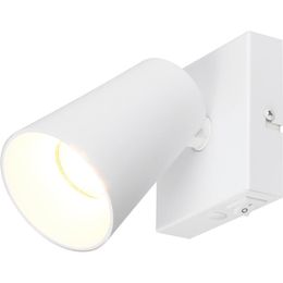 Trio Leuchten Wandstrahler &raquo;SHARP, Spot 1-flammig exkl 1x GU10 max 10W schwenkbar & drehbar&laquo; GU10 1 Stk. warmwei&szlig; - kaltwei&szlig; Schirm innen gold, 