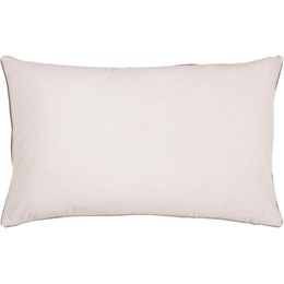 Pad Dekokissen &raquo;Elegance&laquo; Design als Basic, aus Samt, elegante Optik beige Polyester B/L: 25cm x 50cm, 1 Stk.