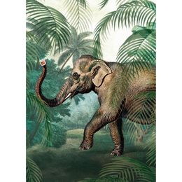 SUPERFRESCO EASY Fototapete &raquo;Elefant&laquo; glatt 280x200cm bunt Vlies B/L: 2m x 2,8m