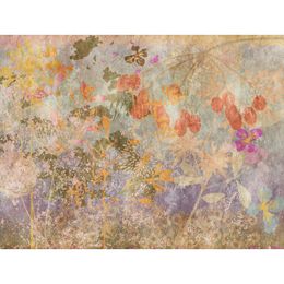 Livingwalls living walls Fototapete &raquo;The Wall&laquo; Motiv abstrakt bedruckt glatt Fototapete Blume Tapete Abstrakt Tapeten Wohnzimmer Design Wandtapete orange Vinyl, 