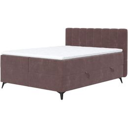 COTTA Boxbett &raquo;Vicky inkl. Bettkasten&laquo; erh&auml;ltlich in den Breiten 160x200cm & 180x200cm braun 94% POLYESTER (PES);6%POLYAMID (PA) Flachgewebe inkl. 