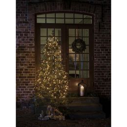 Konstsmide LED-Baummantel 450 Stk.-flammig LED Lichterkette 6 Str&auml;nge &agrave; 75 gefrostete warm wei&szlig;e Dioden schwarz Dioden 450 Stk. Flammen 450 Stk., 