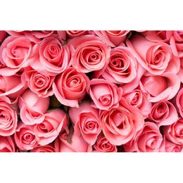 papermoon Fototapete &raquo;Pink Rose Flowers&laquo; glatt bunt Vlies B/L: 2,5m x 1,86m, Bahnen: 5 Stk.