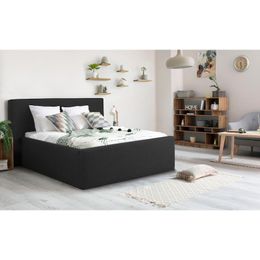 Home Affaire Polsterbett &raquo;Dalina&laquo; geradliniges Kopfteil, in 5 Breiten, auch in 220cm L&auml;nge grau Struktur (100% Polyester) Liegefl&auml;che L&auml;nge B: 220cm x