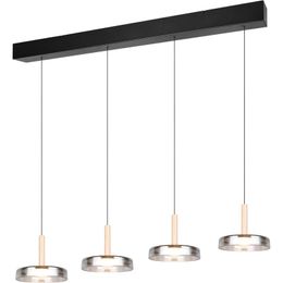 Trio Leuchten LED Pendelleuchte &raquo;CELESTE dimmbare LED H&auml;ngelampe aus Metall Glas & Holz, 7,5W 750 Lumen&laquo; LED-Board 1 Stk. Warmwei&szlig; 4-flammig einfach 