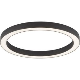 Neuhaus PURE LED Deckenleuchte &raquo;PURE Lines Round&laquo; LED-Board 1 Stk. warmwei&szlig; - kaltwei&szlig; Stufenlos dimmbar &uuml;ber Fernbedienung, CCT schwarz 1, &Oslash; 50cm H: 