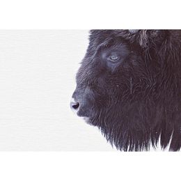 Livingwalls living walls Fototapete &raquo;ARTist Black Buffalo&laquo; Vlies, Wand, Schr&auml;ge schwarz Vlies B/L: 4m x 2,7m