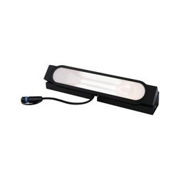 Paulmann LED Gartenstrahler &raquo;Plug & Shine Wandfluter Ito Einzelleuchte IP67 3000K 6,1W Anthrazit&laquo; 1 Stk. Warmwei&szlig; grau 1, H: 22,4cm, 1 Stk.