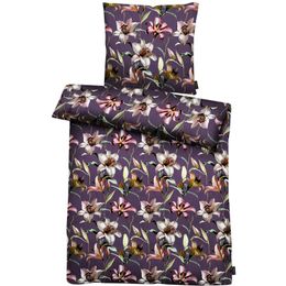 Apelt Bettw&auml;sche &raquo;Lilia&laquo; 2 Stk. mit Lilien lila Satin (Bio-Baumwolle), Obermaterial: 100% Baumwolle B/L: 135cm x 200cm, 1 Stk., 1 Stk., Satin (Bio-