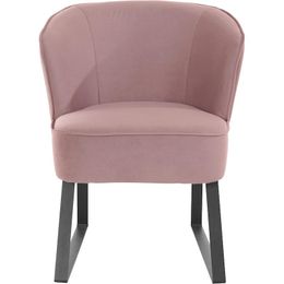 exxpo - sofa fashion Sessel &raquo;Americano, Loungesessel&laquo; mit Keder und Metallf&uuml;&szlig;en, Bezug in verschiedenen Qualit&auml;ten, 1 Stck. pink Samtvelours, B/H/T: 