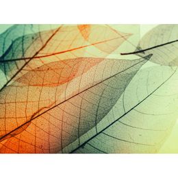 Livingwalls living walls Fototapete &raquo;Designwalls Limpid Leaf 2&laquo; glatt Vlies, Wand, Schr&auml;ge, Decke orange Vlies B/L: 3,5m x 2,55m