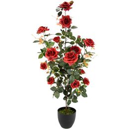 I.GE.A. Kunstbaum &raquo;Rosenbusch im Topf&laquo; Kunstrosen Kunstpflanzen Rosenstrauch Deko Hochzeit rot Obermaterial: 95% Polyester, 5% Kunststoff B/H/L: 45cm 