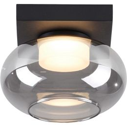 Sch&ouml;ner Wohnen Kollektion SCH&Ouml;NER WOHNEN-Kollektion LED Deckenleuchte &raquo;SIA&laquo; LED-Board 1 Stk. Warmwei&szlig; SCH&Ouml;NER WOHNEN Kollektion, SimplyDim, Memoryfunktion, Rauchglas 1, &Oslash; 20cm 