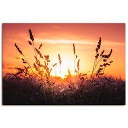 Artland Leinwandbild &raquo;Tr&auml;umen&laquo; Felder 1 Stk. tlg. auf Holzrahmen gespannt orange Leinwand B/H/T: 90cm x 60cm, Leinwandbild Felder Querformat, 1 Stk.