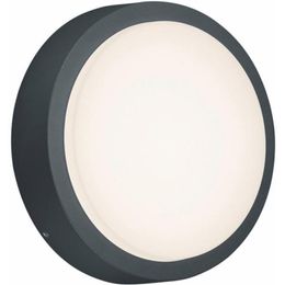 Trio Leuchten LED Au&szlig;en-Wandleuchte &raquo;BREG&laquo; LED-Board 1 Stk. Warmwei&szlig; grau 1, &Oslash; 20cm H: 5,5cm, 1 Stk.