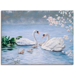 Artland Leinwandbild &raquo;Stolze Schwanenfamilie&laquo; V&ouml;gel 1 Stk. tlg. auf Holzrahmen gespannt wei&szlig; Leinwand B/H/T: 60cm x 45cm, Leinwandbild V&ouml;gel Querformat, 1 Stk