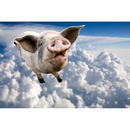 papermoon Fototapete &raquo;Fliegende Schweine&laquo; bunt Vlies B/L: 3m x 2,2m, Rollen: 1