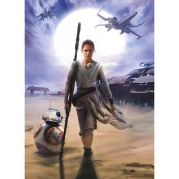 Komar Fototapete &raquo;STAR WARS Rey - Gr&ouml;&szlig;e 184 x 254 cm&laquo; bedruckt glatt Kinderzimmer blau Papier B/L: 184m x 254m, Rollen: 4