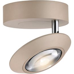 Neuhaus PURE LED Deckenleuchte &raquo;PURE Oculis&laquo; LED-Board 1 Stk. Warmwei&szlig; Dimmf&auml;hig &uuml;ber separaten Tronicdimmer, dreh- & schwenkbar 1, &Oslash; 15cm H: 8cm, 1 