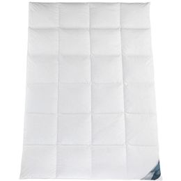 H&auml;ussling Daunenbettdecke &raquo;Kuscheltraum, 135x200,155x220 & weitere Gr&ouml;&szlig;en&laquo; warm F&uuml;llung 60% Daunen, 40% Federn 1 Stk. tlg. Hergestellt in Deutschland, Daunen 