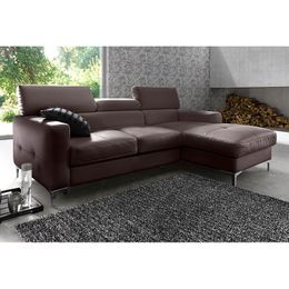 COTTA Ecksofa &raquo;Sammy L-Form&laquo; mit Kopfteilverstellung, wahlweise mit Schlaffunktion braun Microfaser PRIMABELLE (100% Polyester);NaturLEDER in Sitz und