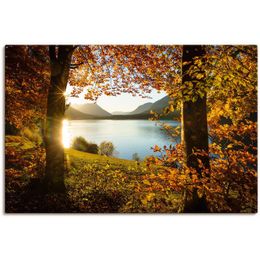 Artland Wandbild &raquo;Herbst am Sylvensteinsee&laquo; Gew&auml;sser 1 Stk. tlg. als Alubild, Leinwandbild in verschied. Gr&ouml;&szlig;en orange B/H/T: 90cm x 60cm, Leinwandbild 