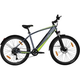 Sachsenrad Unisex SachsenRad &raquo;R8 Flex III&laquo; 9 Gang Shimano Shimano Altus Schaltwerk Kettenschaltung Heckmotor 250 W mitgeliefertes, optionales 