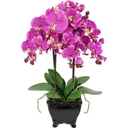I.GE.A. Kunstblume &raquo;K&uuml;nstliche Orchidee in Schale Phalaenopsis Kunstblume Blume&laquo; Kunstorchidee Deko Dekoblume Seidenblume rosa Polyester B/H/L: 20cm x