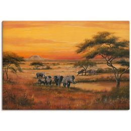 Artland Wandbild &raquo;Afrika Elefanten&laquo; Afrika 1 Stk. tlg. als Alubild, Leinwandbild, Poster in verschied. Gr&ouml;&szlig;en orange B/H/T: 70cm x 50cm, Leinwandbild Afrika, 