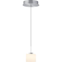 HELL h&ouml;llisch gutes Licht LED Pendelleuchte &raquo;ELLI&laquo; LED-Modul 1 Stk. Warmwei&szlig; B-Link Fernbedienung, Stufenlos h&ouml;henverstellbar wei&szlig; 1, &Oslash; 26cm, 1 Stk.