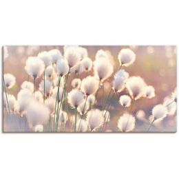 Artland Wandbild &raquo;Wollgraszauber im Moor&laquo; Gr&auml;ser 1 Stk. tlg. als Alubild, Leinwandbild, Poster in verschied. Gr&ouml;&szlig;en beige B/H/T: 40cm x 20cm, Leinwandbild 
